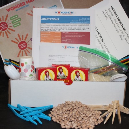 Wonder Kits Inspired by Curiosity